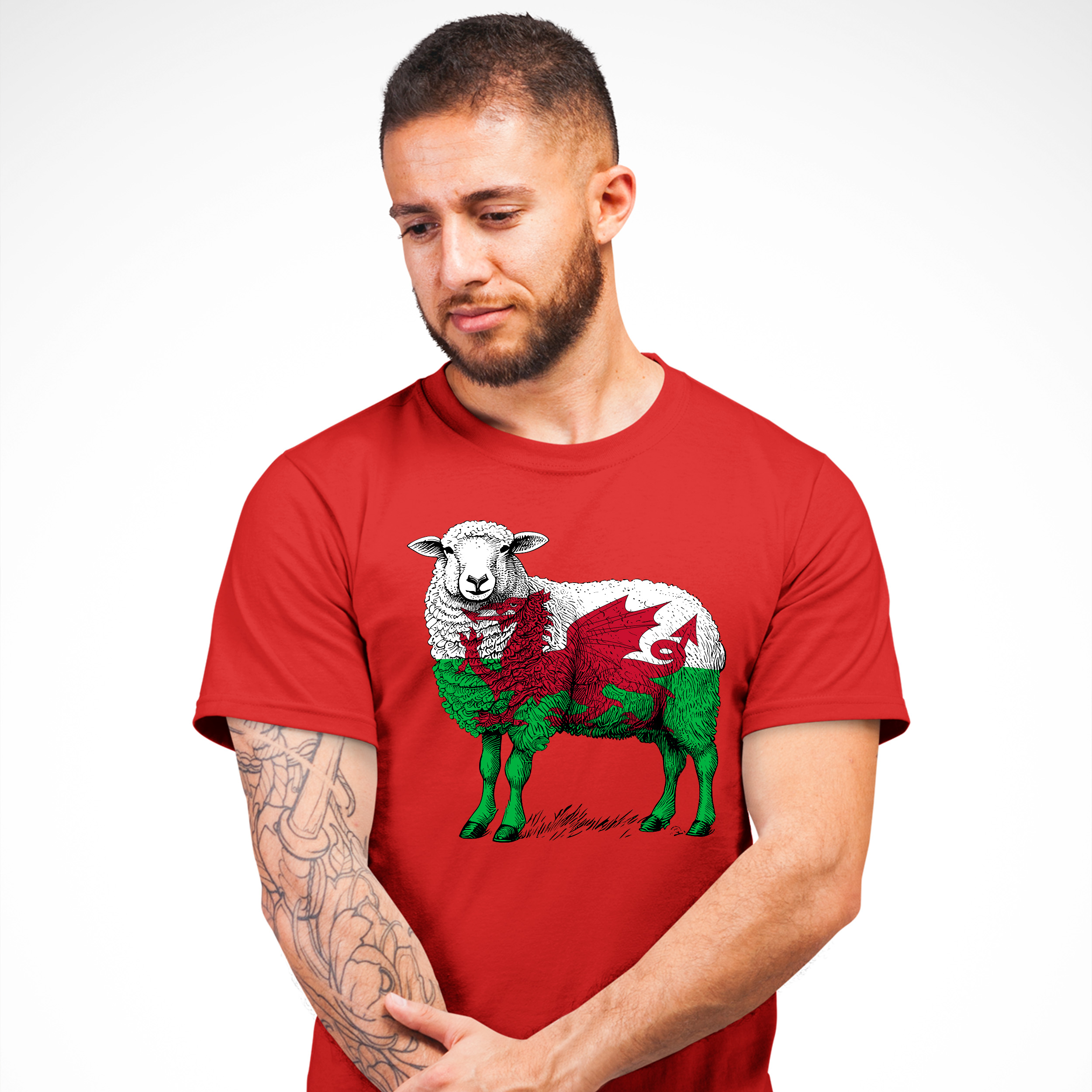 Wales Sheep T Shirt Men - Purple Print House